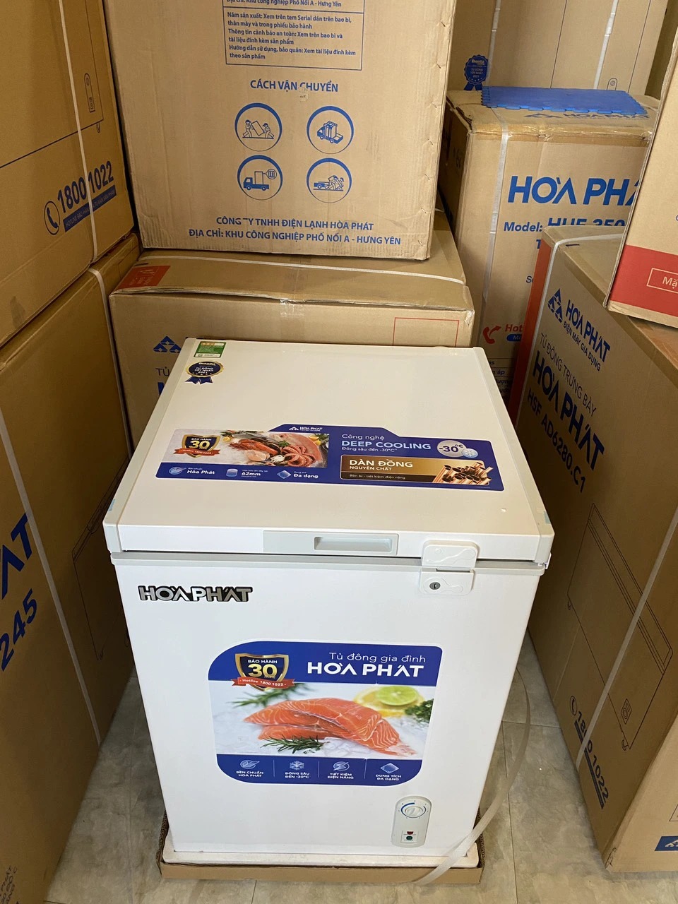 Tủ đông Mini 50l Công Nghệ Đại Phát